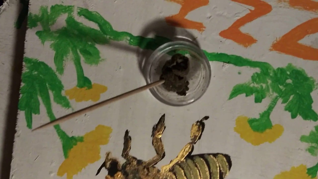 Original Moon Rock buds video and the ripple in me flow - YouTube