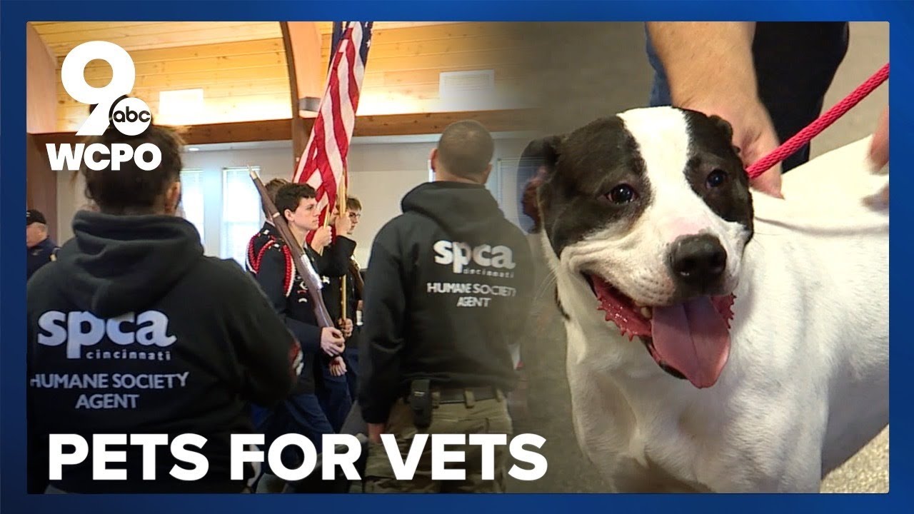 SPCA Cincinnati program helps connect veterans with fur-ever friends ...