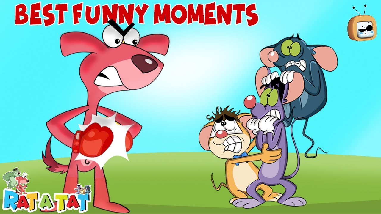 Boxer Dog :Doggy Don chasing Rats :Non-Stop Funny moments | Rat A Tat ...