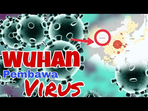 CHINA C19 : Penduduk Asia Tenggara Paling Terjejas - YouTube