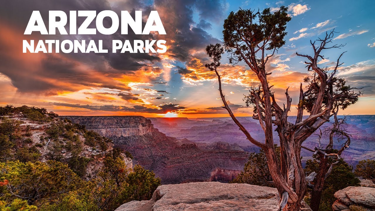 Arizona National Parks | Grand Canyon | Saguaro | Petrified Forest ...