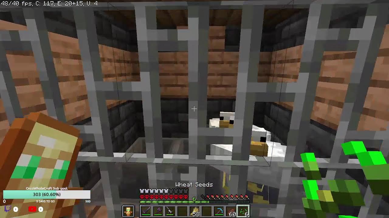 Minecraft|SMP| Stream #1 - YouTube
