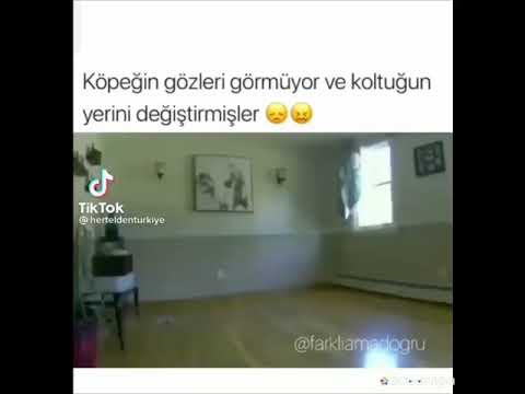 TİK TOK'DAKİ KOMİK VİDEOLAR