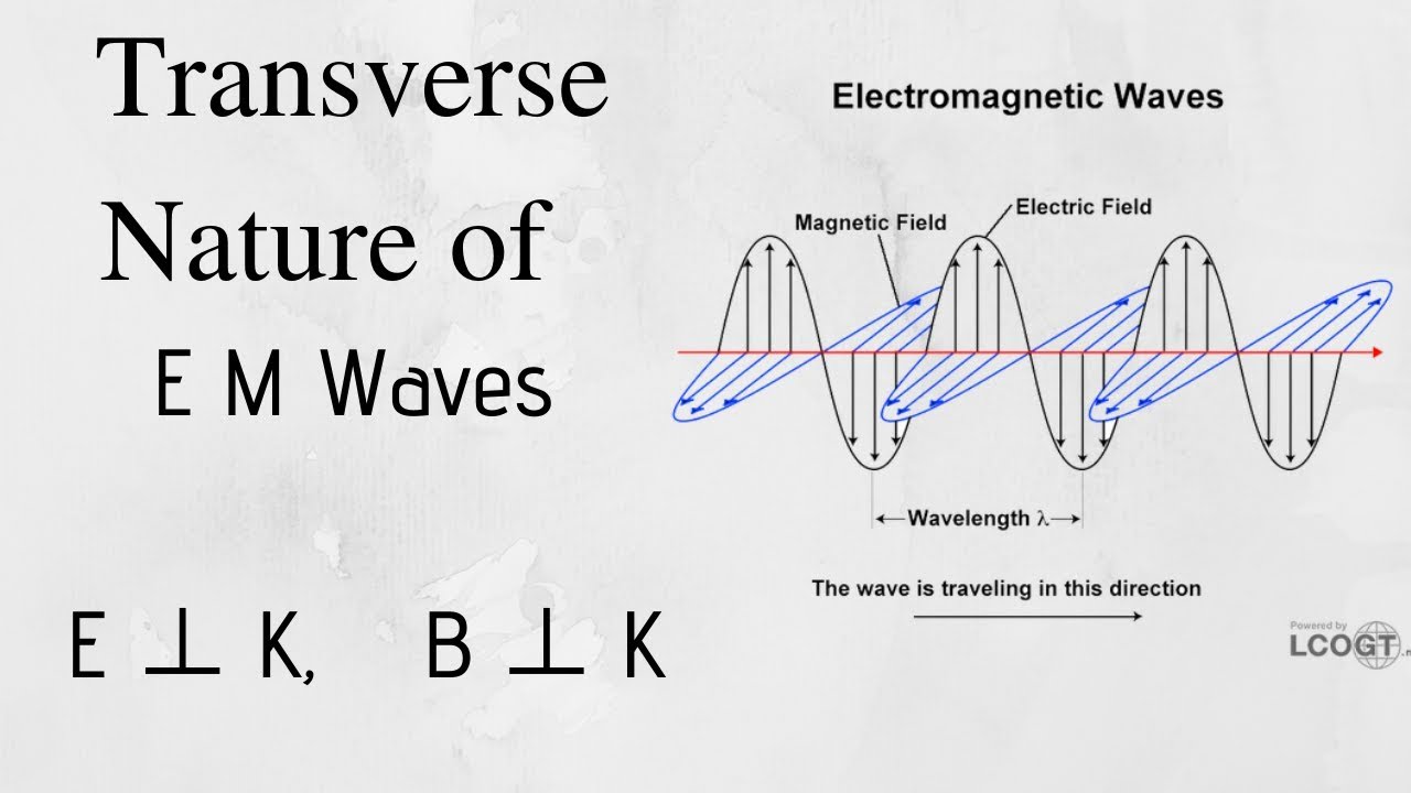07: Transverse Nature of EM Wave in hindi - YouTube