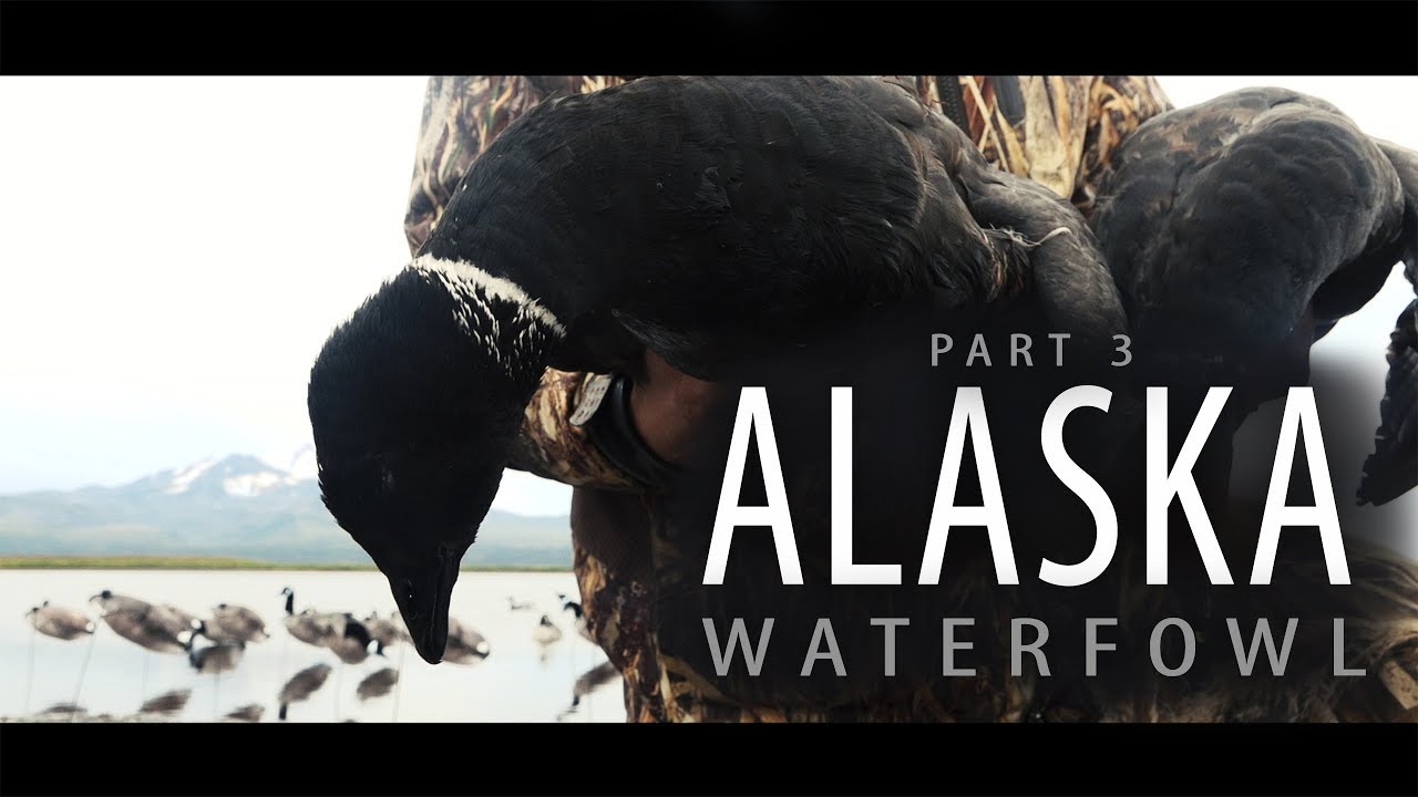 Alaska Adventure: Part 3 | Windsock Decoys on a Loafing Beach | S4.E5 ...