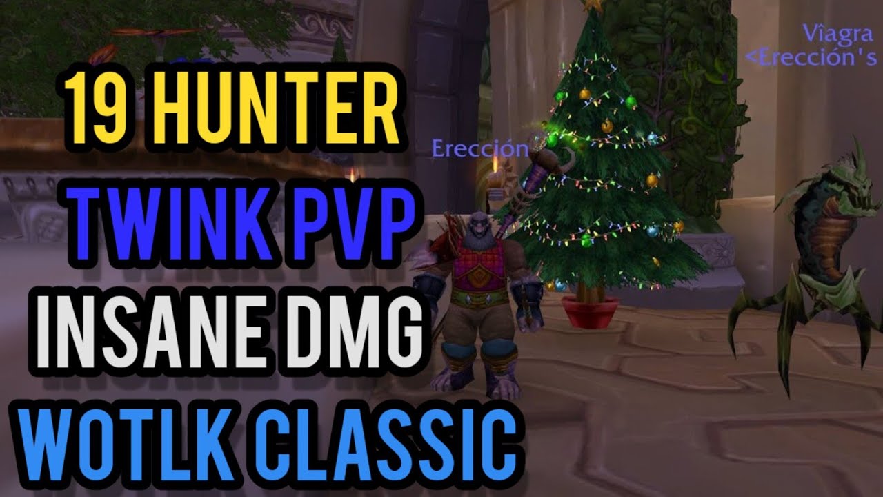 Erección - Level 19 Hunter Twink PvP - Wotlk Classic - YouTube