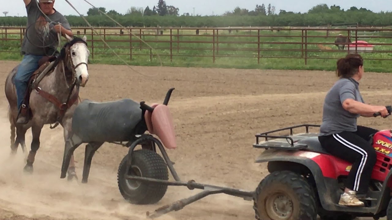 Roping Practice IMG 5454 - YouTube