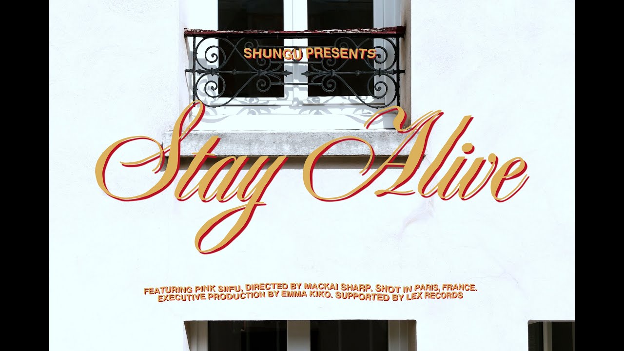 ShunGu - Stay Alive feat. Pink Siifu (Official Video) - YouTube