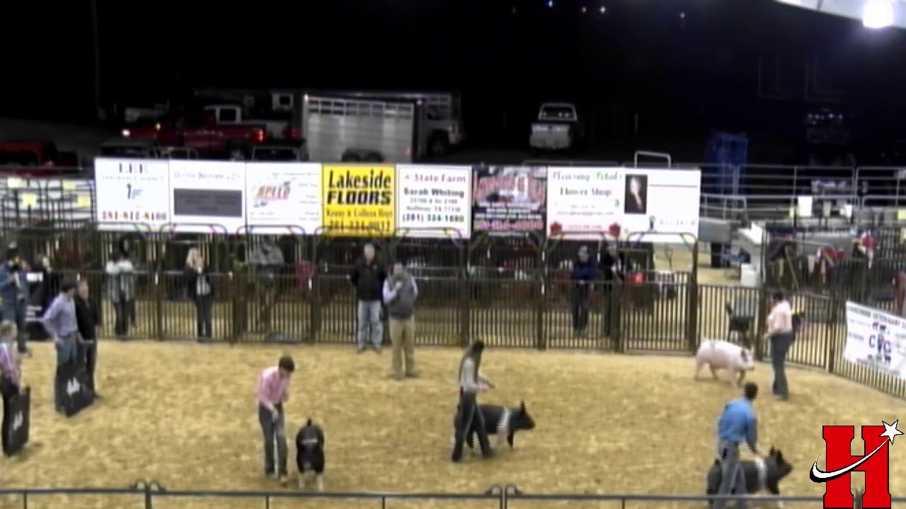 2019 Huffman FFA Livestock Show - YouTube