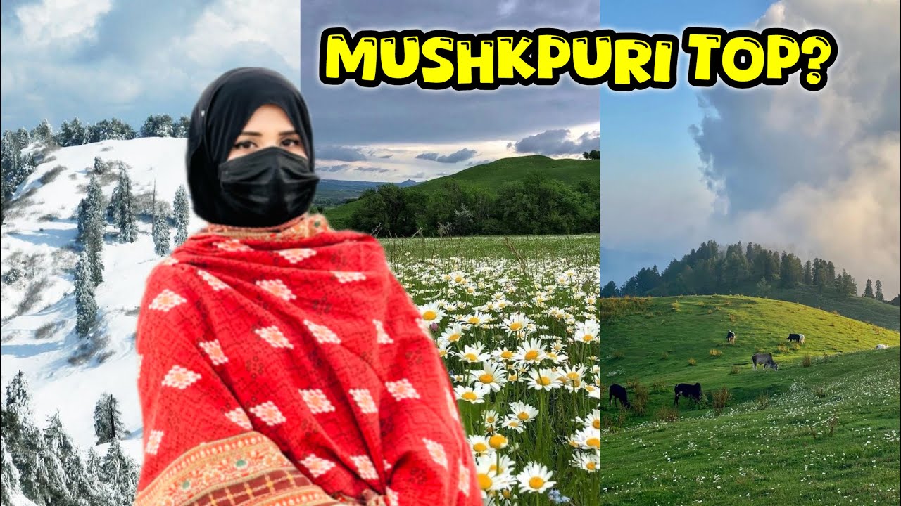 Did We Make It to Mushkpuri Top? | Epic Trek With Trip2Peak - YouTube