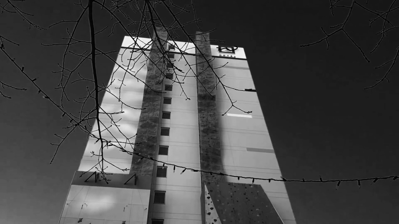 Do you rock climb? Witness the tallest outdoor climbing wall in Reno ...