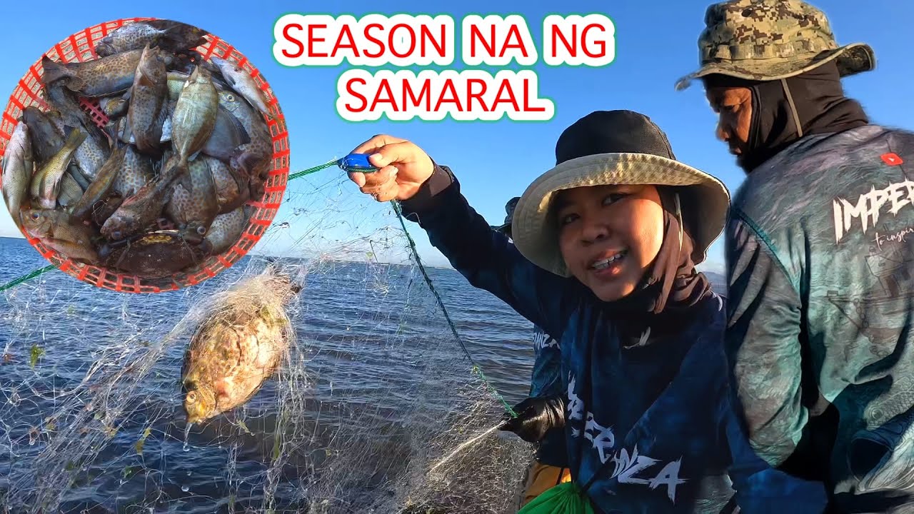 ANG DAMI NA NG SAMARAL , HULI NAMIN SA PALAPAD / PANGATIHAN | IMPERANZA ...