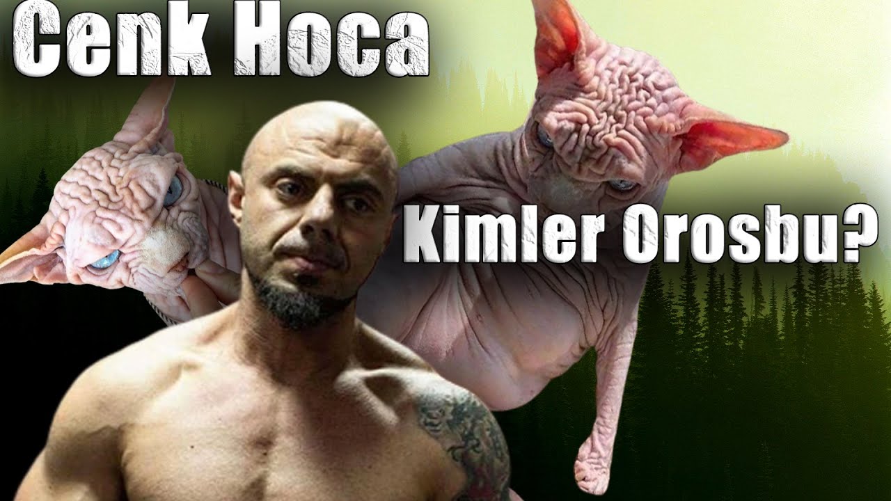 Cenk Hoca Komik Anlar - YouTube