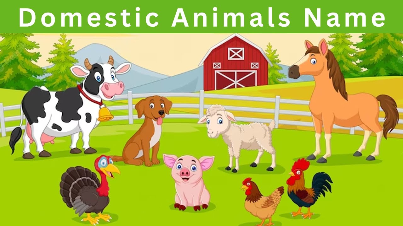 Domestic Animals | Paltu janbaro ke nam hindi and english | Domestic ...