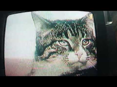 Начало мультфильма Жадная кузя (ОРТ, 1998)