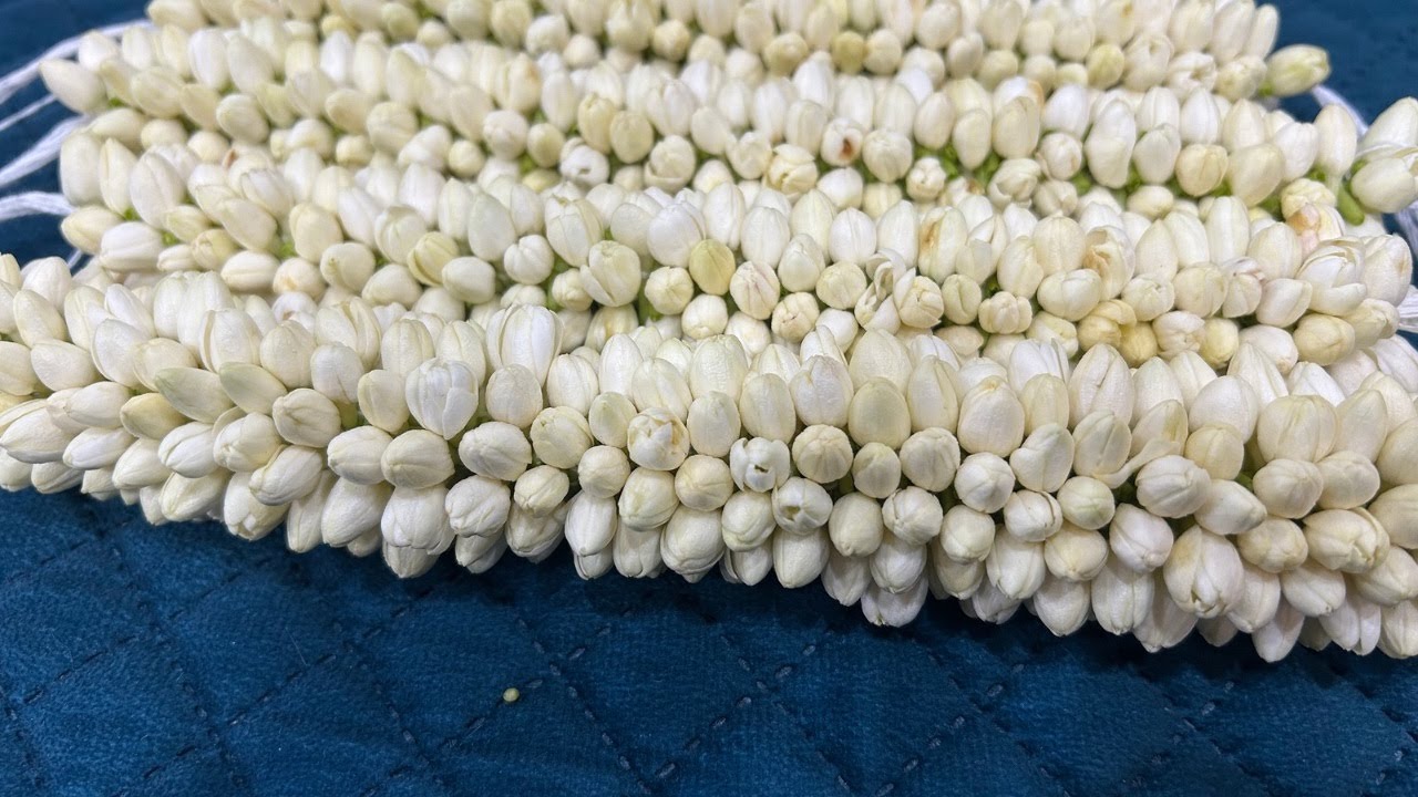 Easy trick to string jasmine flowers/jasmine flower garland - YouTube