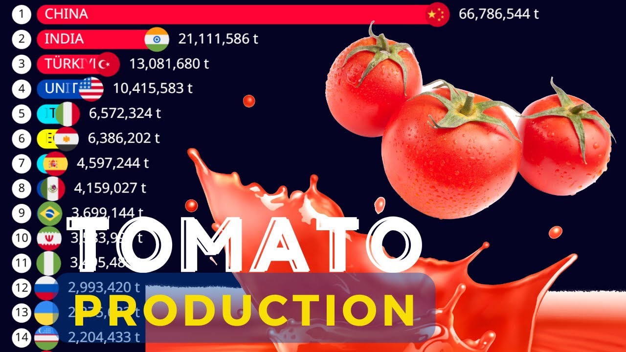 TOP 20 TOMATO PRODUCING COUNTRIES IN THE WORLD - YouTube
