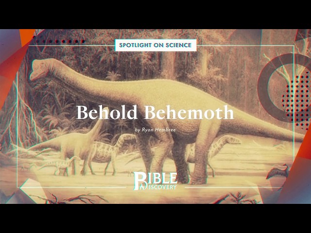 Watch – Bible Discovery TV