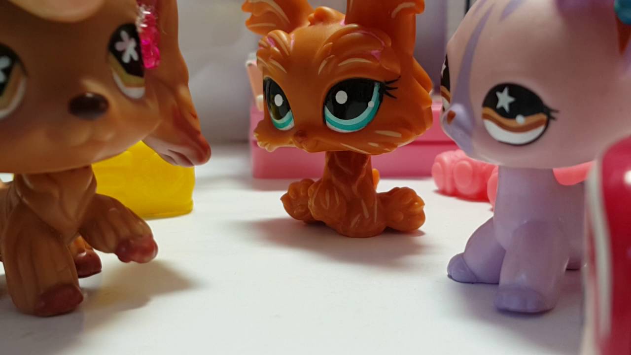 Lps ตอนสัตว์เลี้ยงตัวใหม่ - YouTube