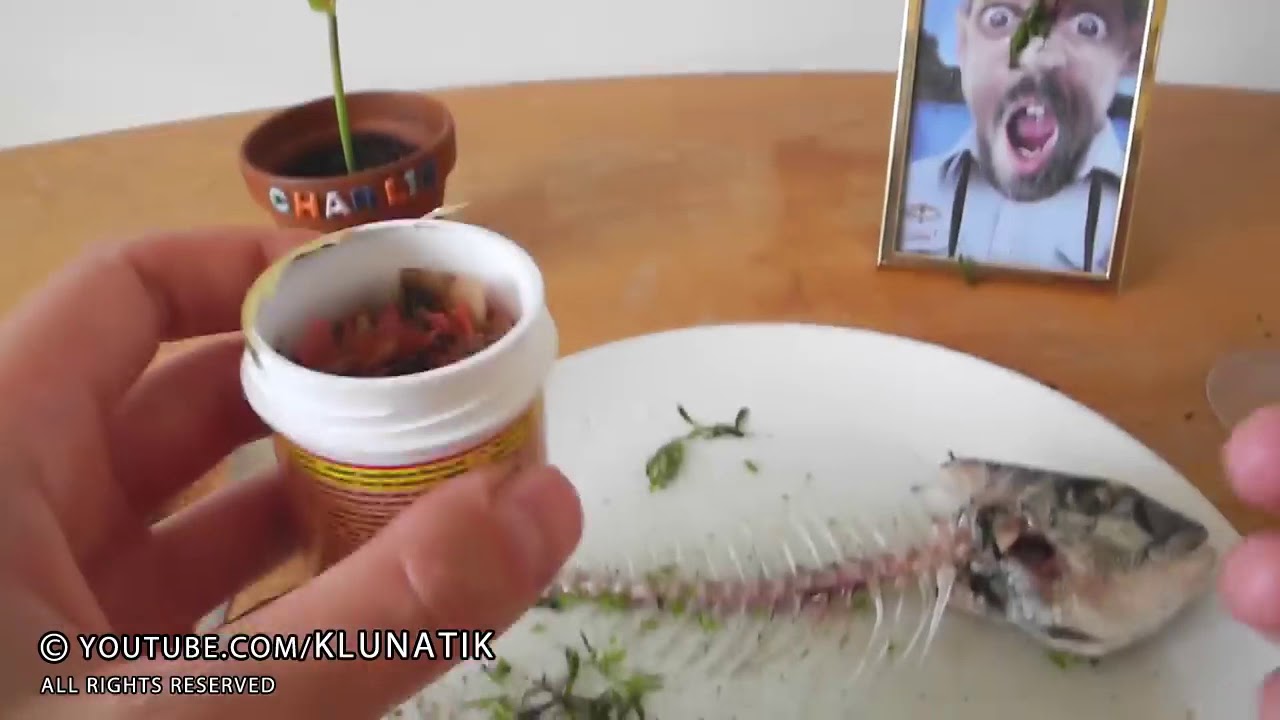 EATING ROTTEN FISH!! Kluna Tik Dinner | ASMR eating sounds no talk ...