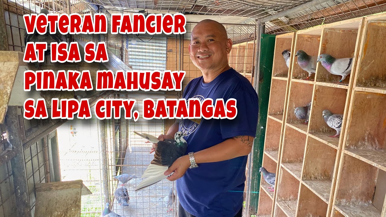 LOFT VISIT KAY GOLDEN FEATHERS LOFT |Reggie Cruz Loft & Aviary # ...