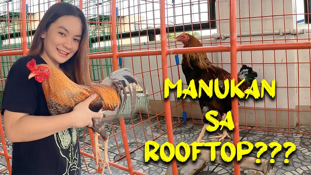 Episode 3: MANUKAN SA ROOFTOP?? - YouTube
