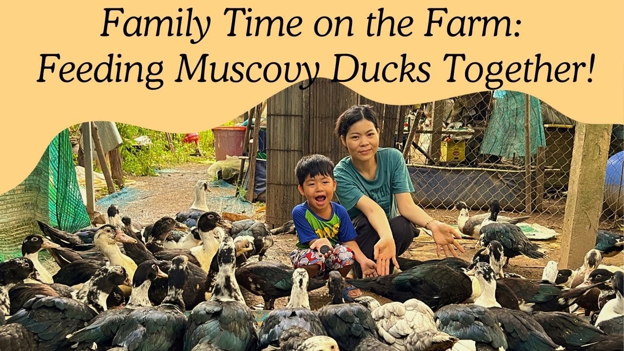 Family Time on the Farm: Feeding Muscovy Ducks Together! - YouTube