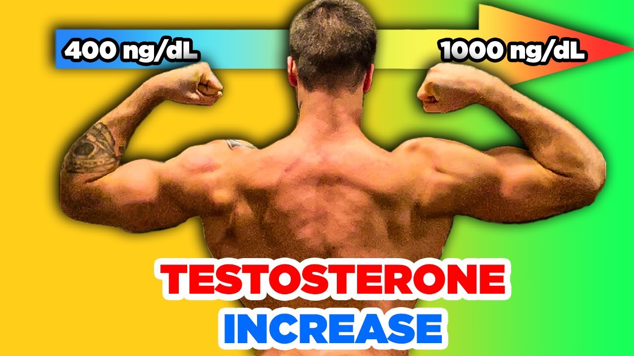 The Secret to Increasing Testosterone Naturally by 150% Scientifically ...