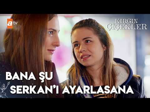 Zeyno, Serkan'dan hoşlanıyor - Kırgın Çiçekler 26. Bölüm