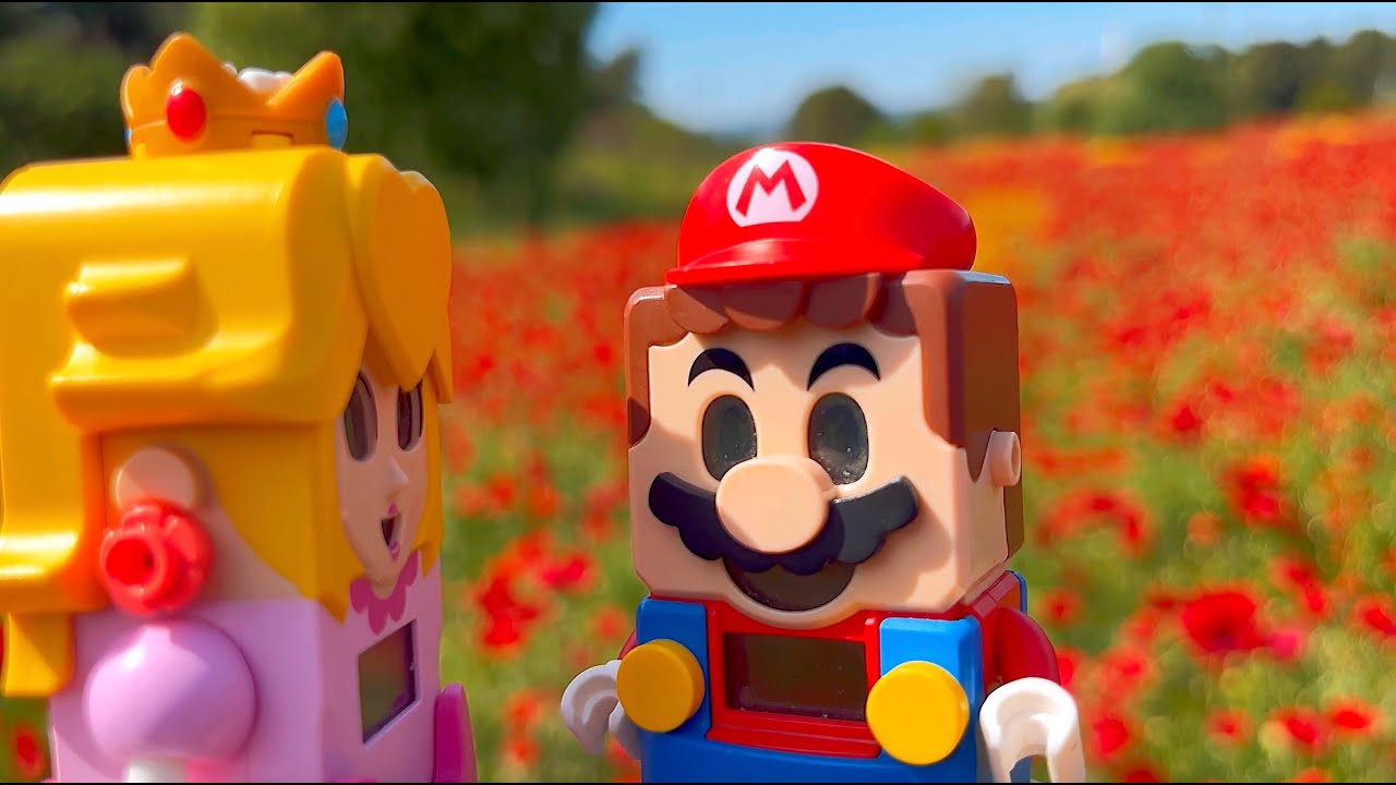 Lego Mario saves Princess Peach from Bowser and gives her a big ...