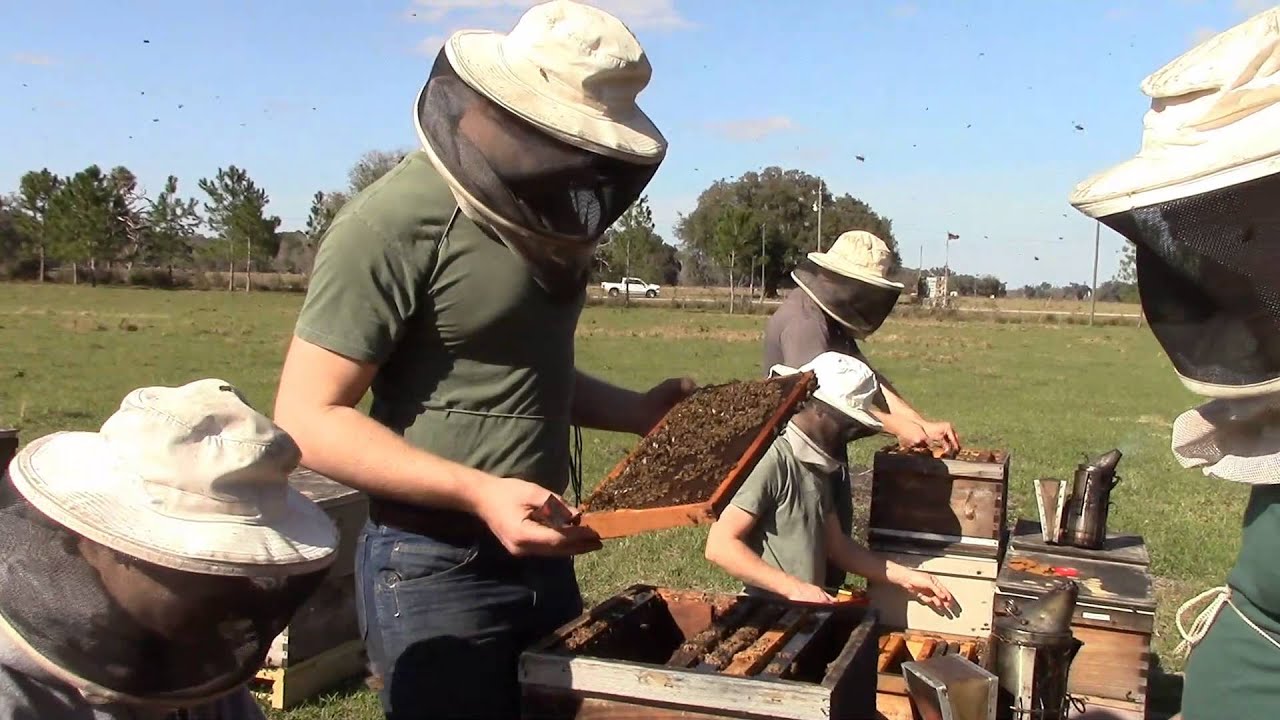 Queen Rearing - Part One - YouTube