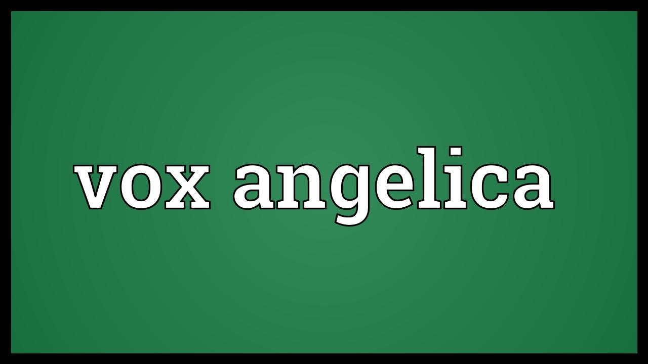 Vox angelica Meaning - YouTube