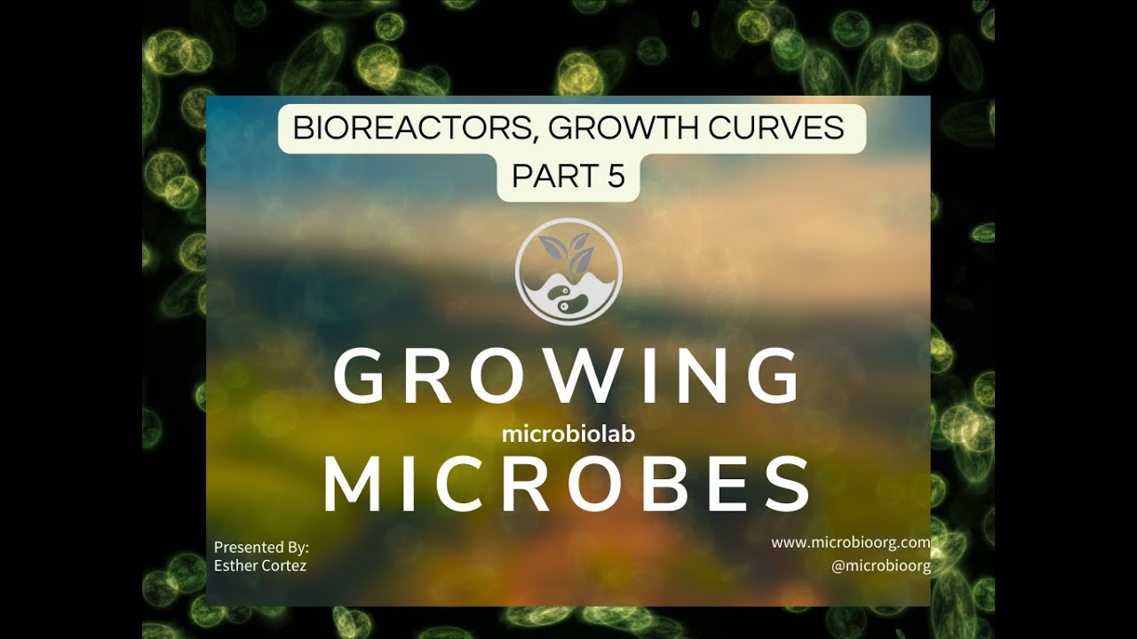 GROWING MICROBES PART 5 Bacterial curves and bioreactor - YouTube