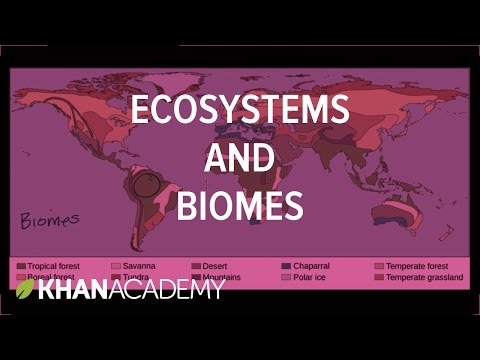 Ecosystems and biomes | Ecology | Khan Academy - YouTube