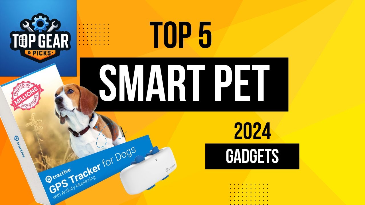 Top 5 Smart Pet Gadgets for Dogs and Cats 🐶🐱 - YouTube