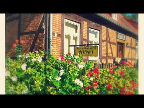 38.Dahlienfest in Bad Sülze mit der Ruhe Oase im Garten der Ferienwohnung Saline1