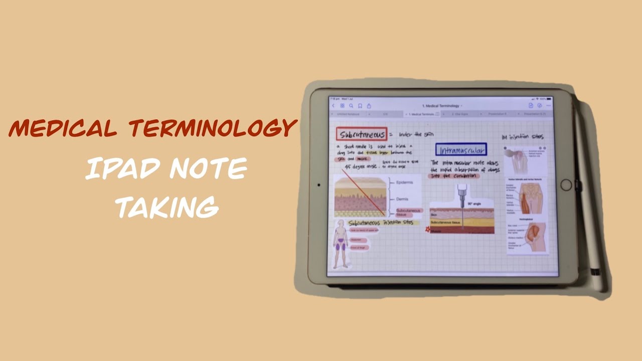 Ipad note taking/호주간호대생의 아이패드로 노트필기하면서 공부하기/굿노트 [Medical terminology ...