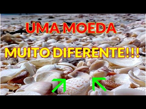 ZIMBO, UMA MOEDA MUITO ESTRANHA... - YouTube