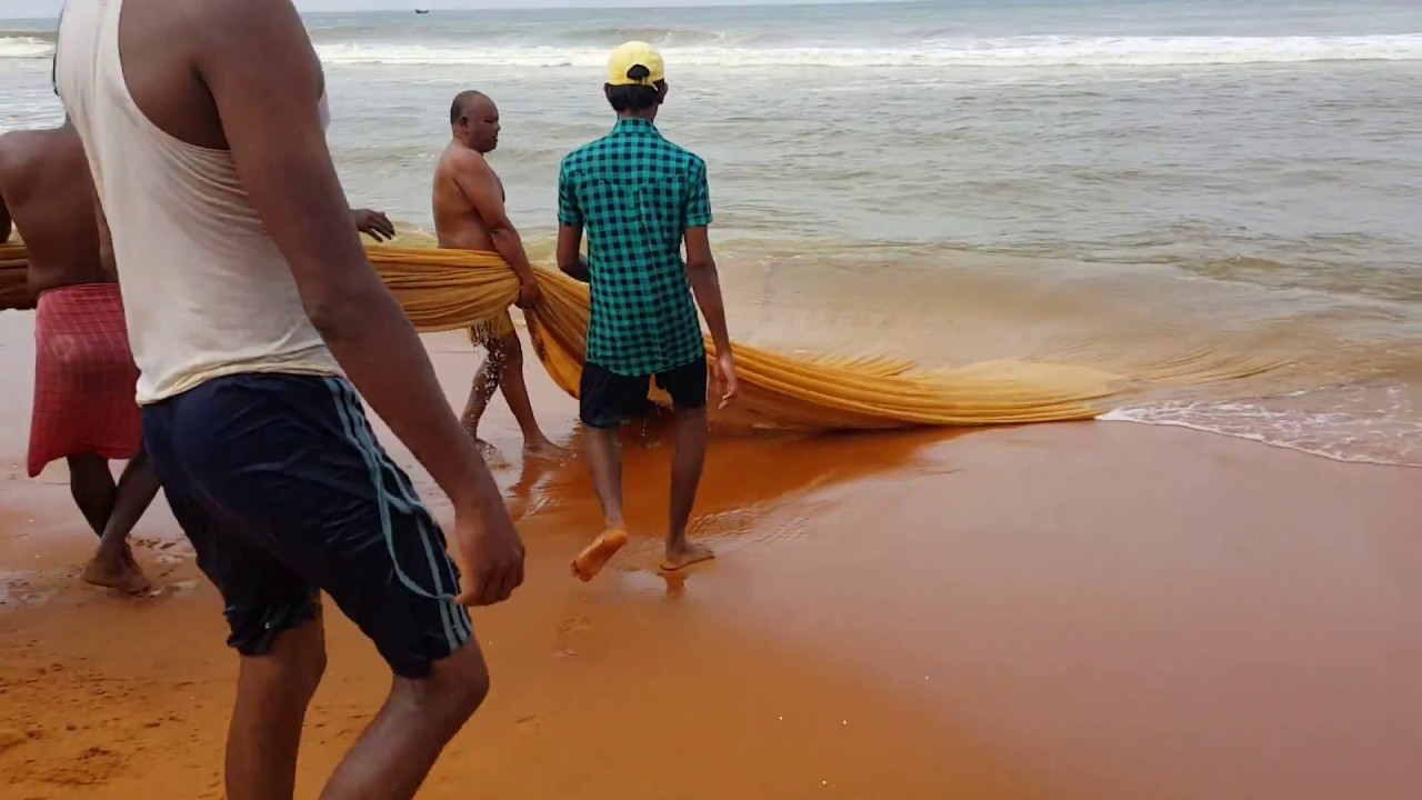 FISHING CHAKARA FISHERMEN IN KERALA.ചാകര നിങ്ങൾ കണ്ടിട്ടുണ്ടോ ? - YouTube