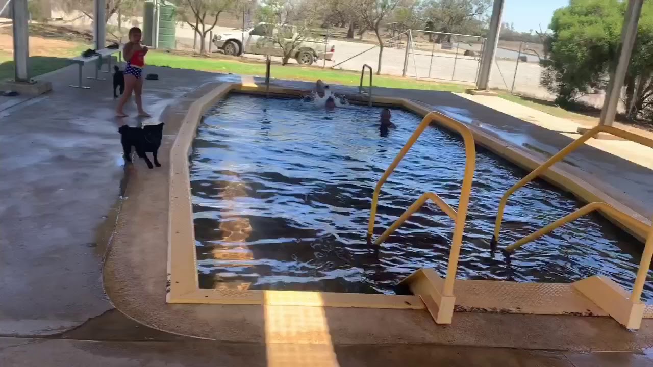 At the Pilliga Bore Baths - YouTube