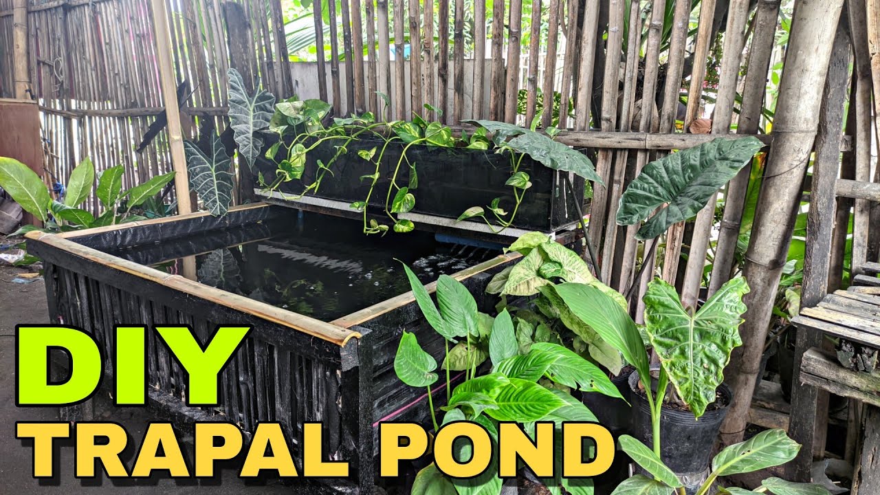 Paano gumawa ng fishpond para sating isda (DIY Trapal Pond) - YouTube