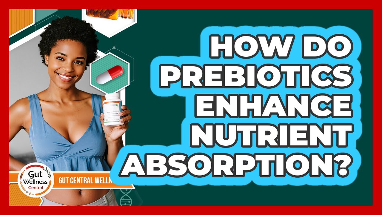 How Do Prebiotics Enhance Nutrient Absorption? - Gut Wellness Central ...