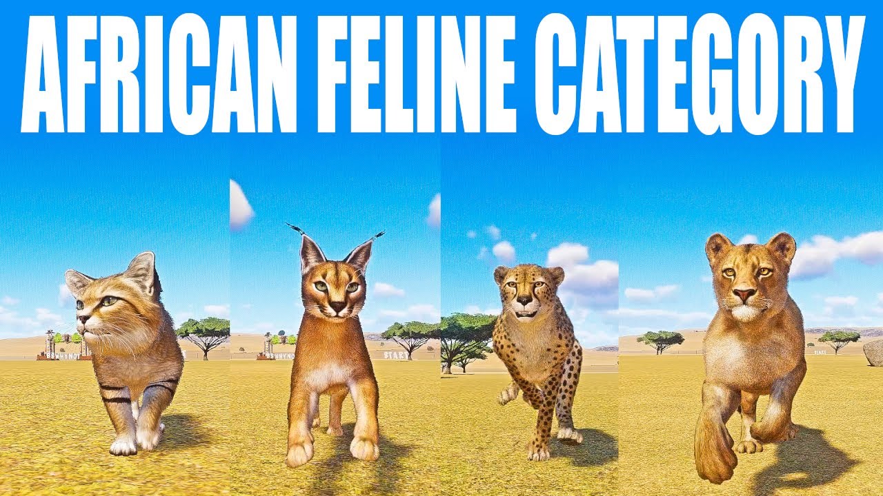 African Feline Category Speed Race in Planet Zoo included Lion, Cheetah ...
