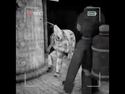 Sophie Interviews a Snail - Content Warning - YouTube