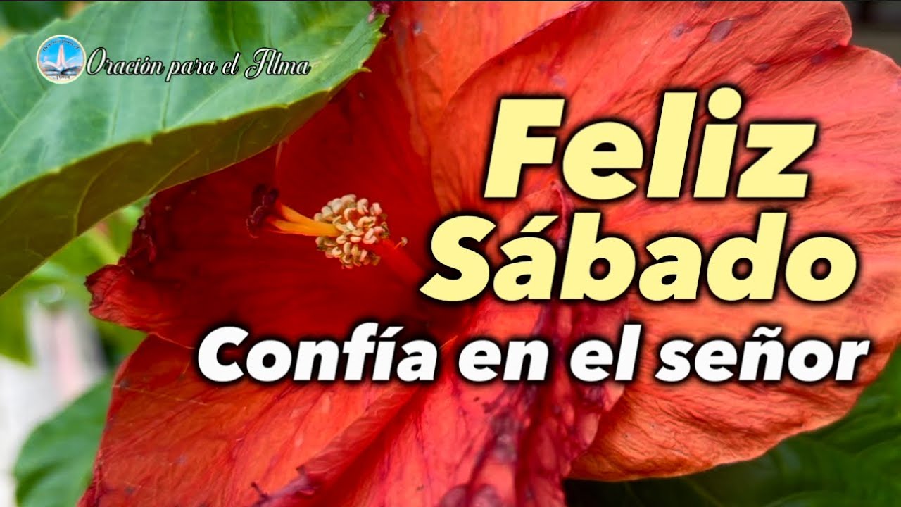 Feliz Sábado Bello mensaje de buenos días para ti Escúchalo - YouTube