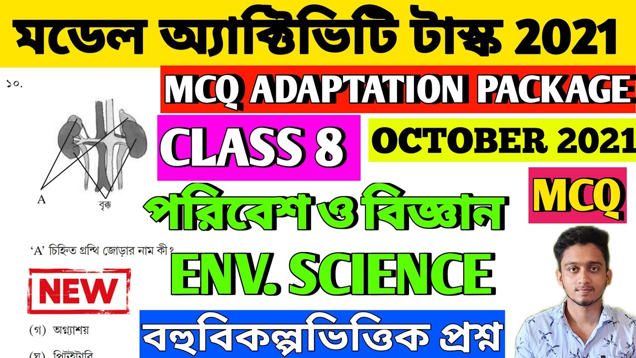 Model Activity Task Class 8 Environmental Science model-activity-task-class-8-environmental-science