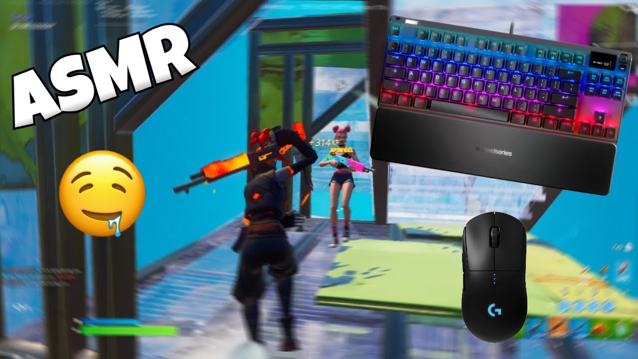 Steelseries Apex Pro & G Pro Wireless ASMR Chill🤩Satisfying Gameplay ...
