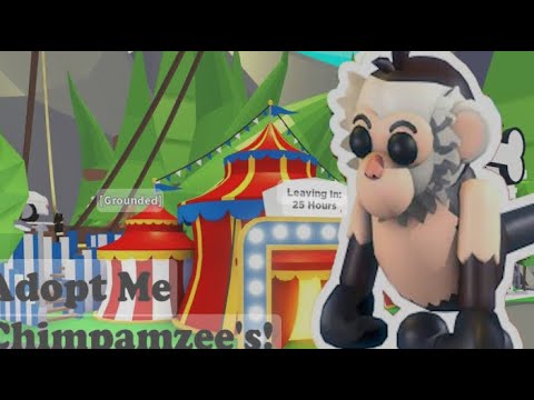 Adopt Me’s New Circus Update: Cappuccino Monkeys! - YouTube