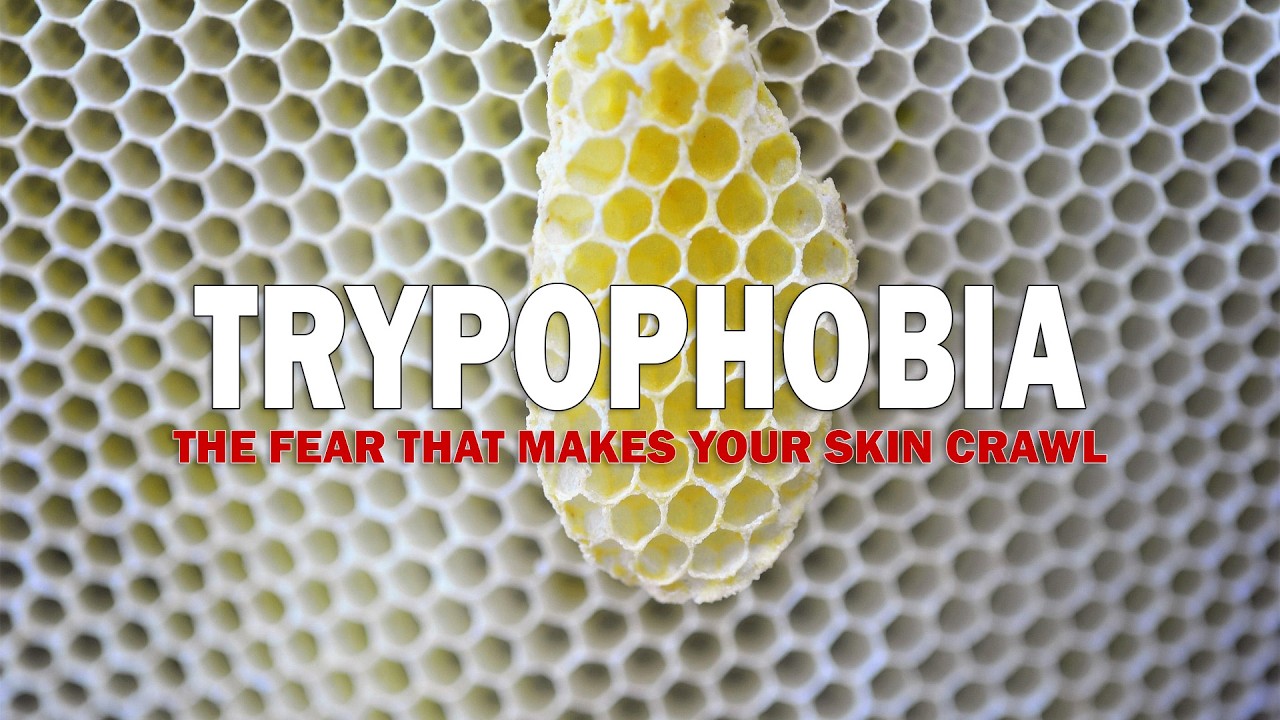 Trypophobia: The Fear That Makes Your Skin Crawl - YouTube