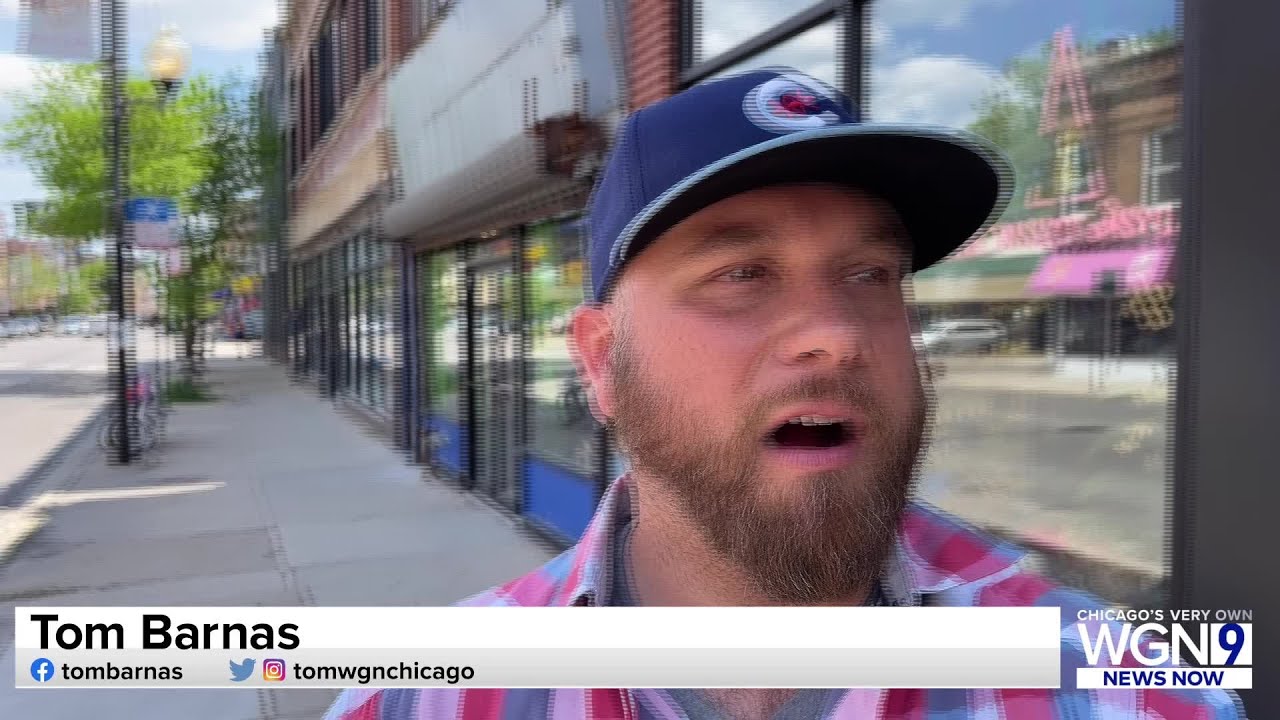 Chicago Scene at the Insect Asylum Museum - YouTube